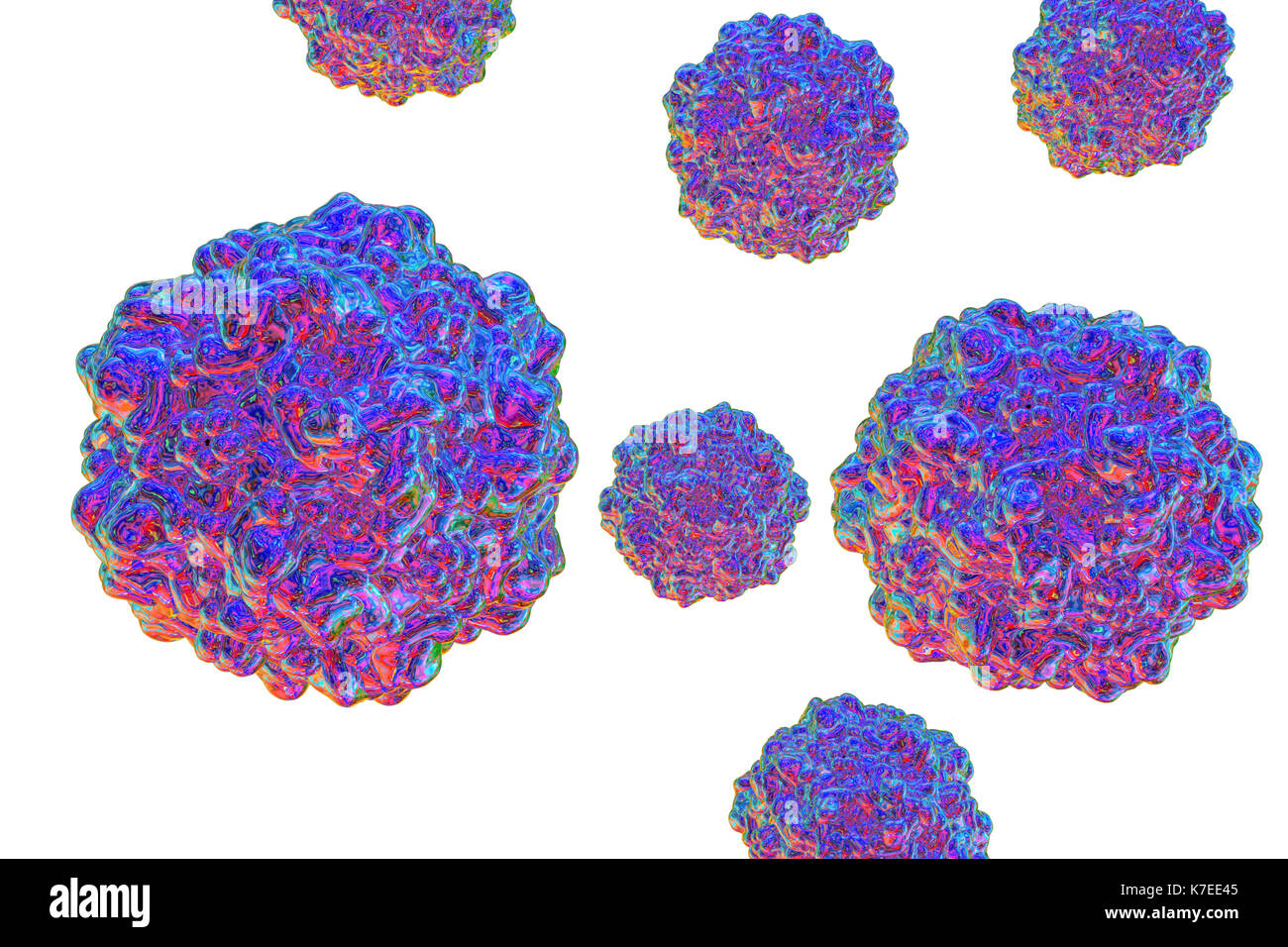 Porcine parvovirus, computer illustration. Molecular model showing the ...