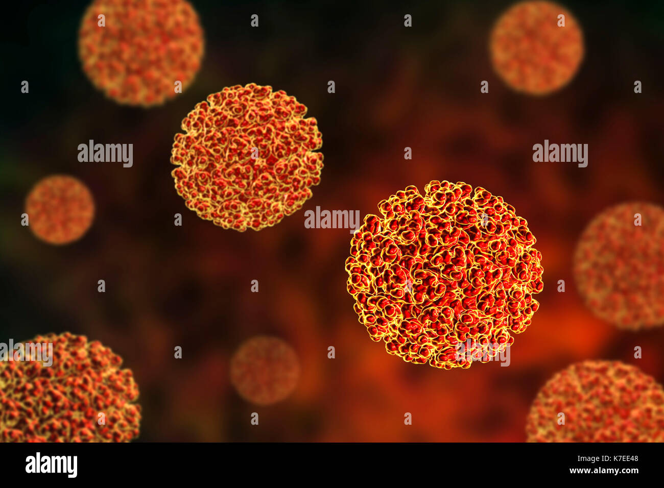 Ross river virus hi-res stock photography and images - Alamy