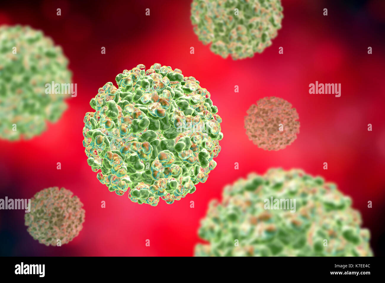 Sindbis virus (SINV), computer illustration. SINV is a member of the ...