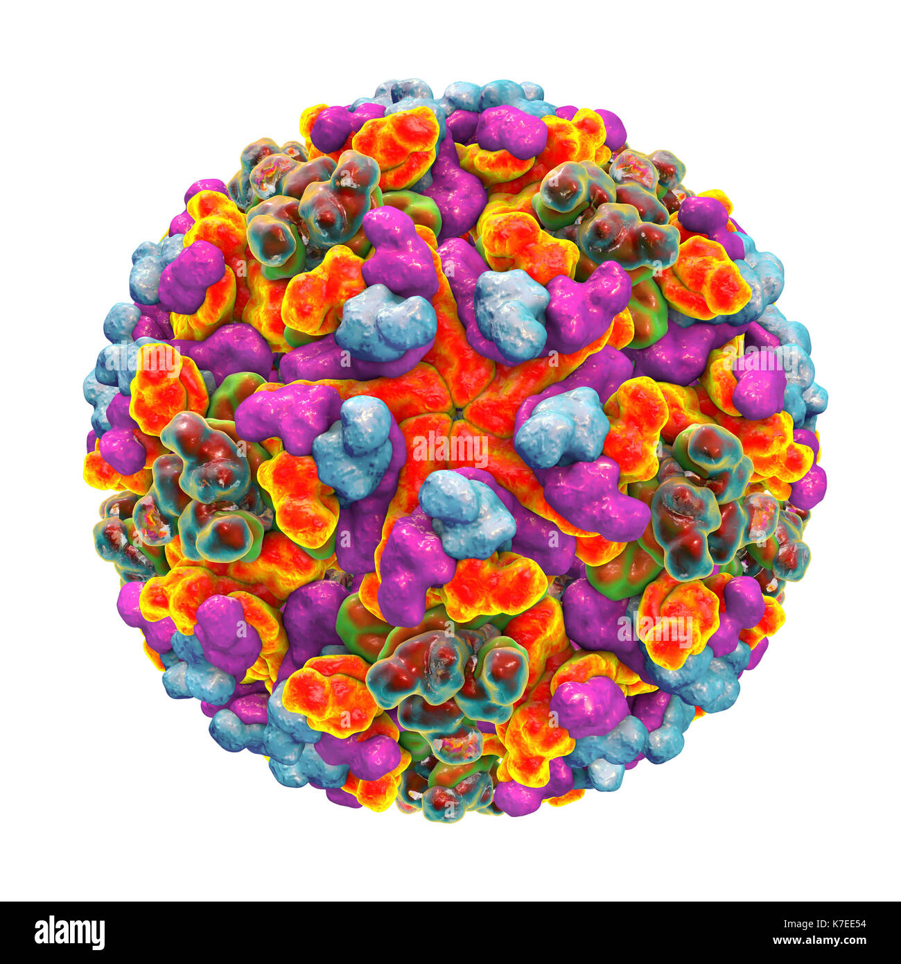 Alphavirus hi-res stock photography and images - Alamy