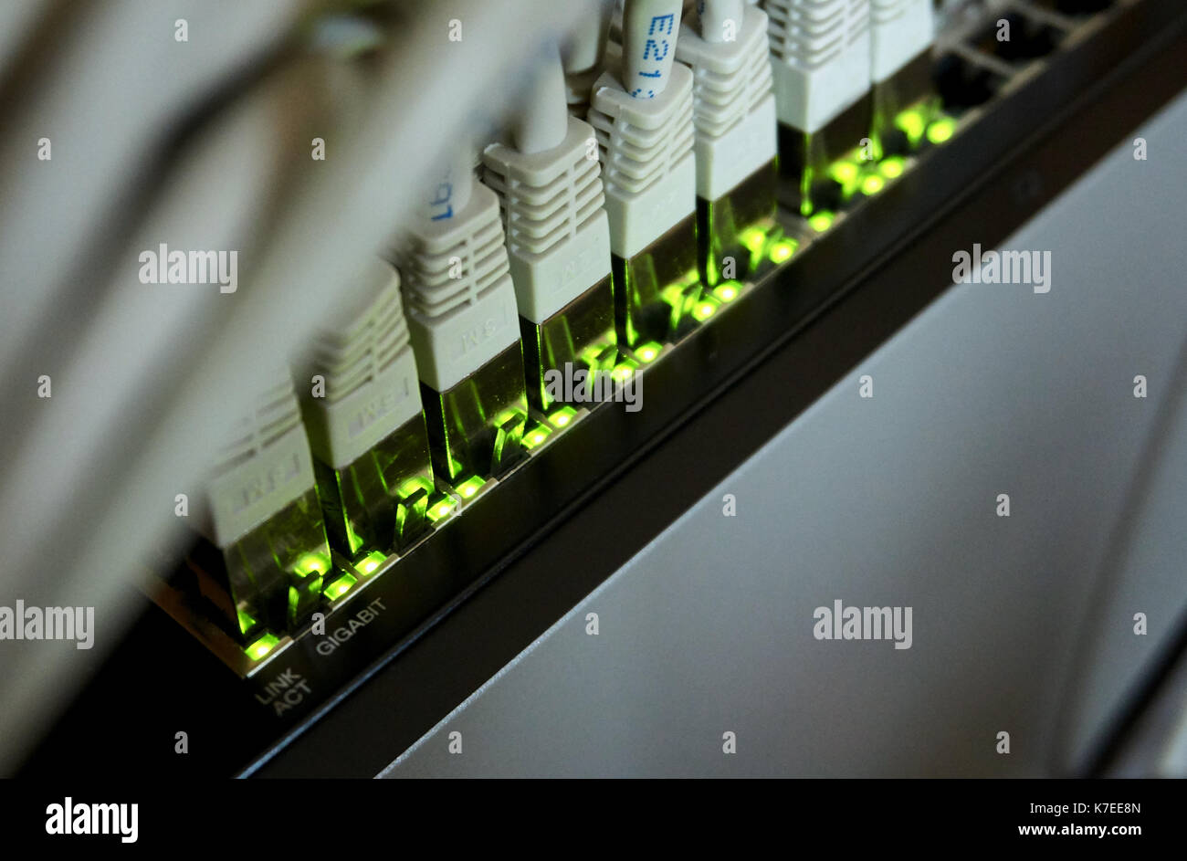 gigabit ethernet connection Stock Photo - Alamy
