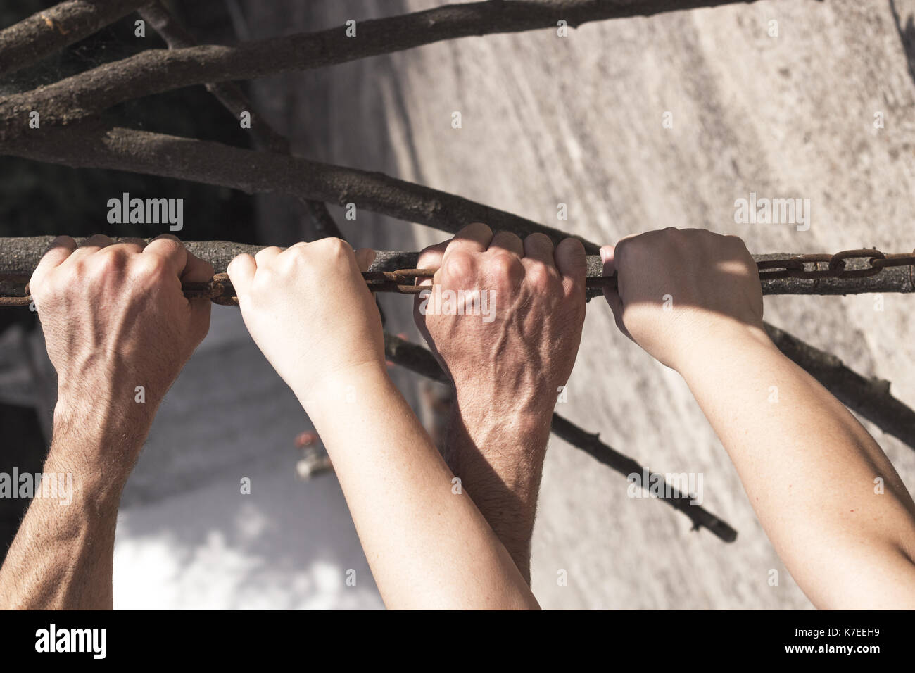 Hands pulling in opposite directions of a tree branch Stock Photo - Alamy