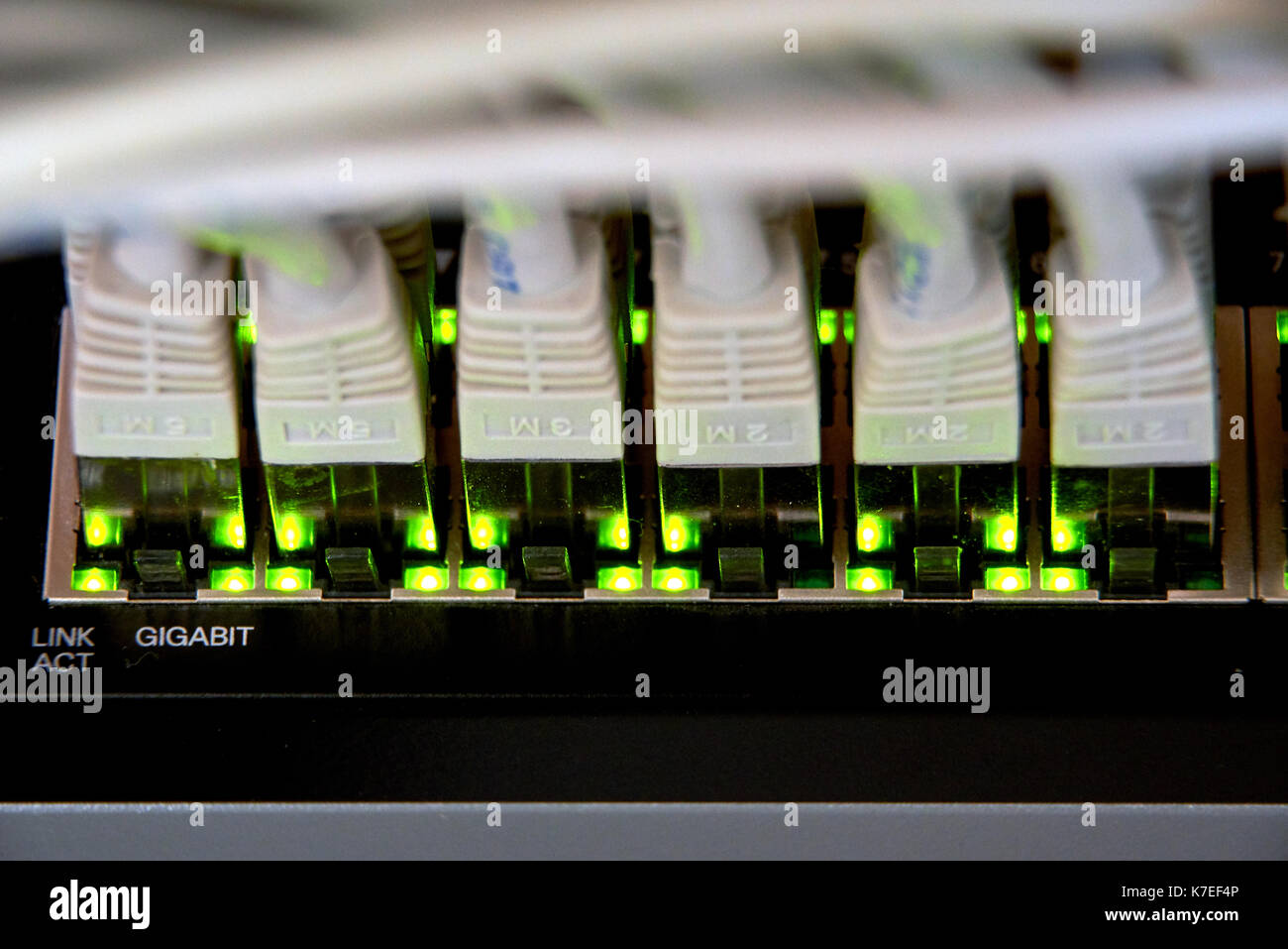 gigabit ethernet connection Stock Photo - Alamy