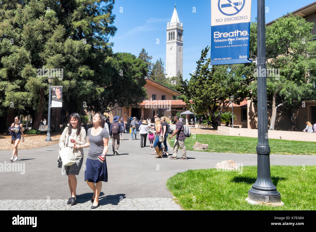 University of California Berkeley. Sign designates the campus as 100% ...