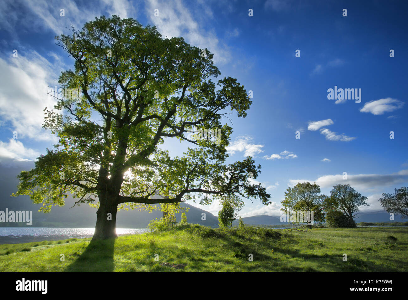 Spring june britain uk hi-res stock photography and images - Alamy