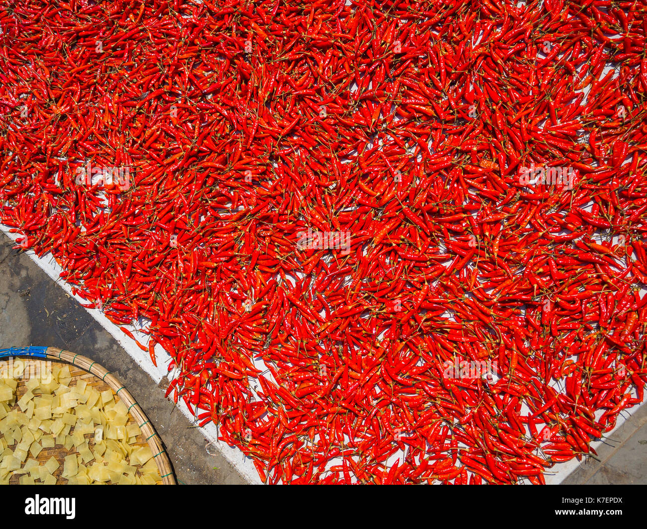 Vietnamese people dry red chilippers in the sun over the pavement in ...
