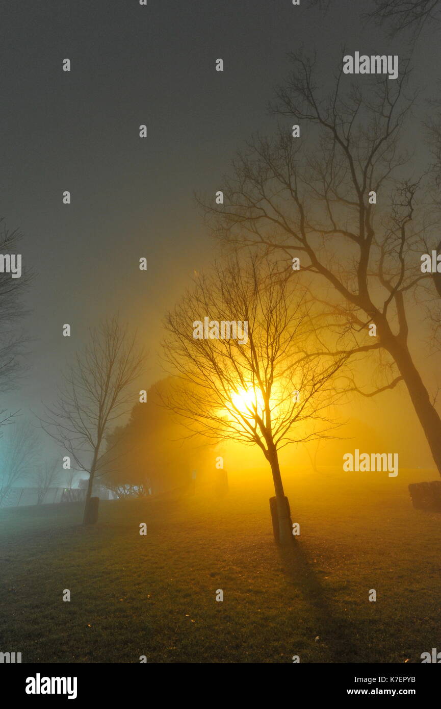Eerie night during a fog Stock Photo - Alamy