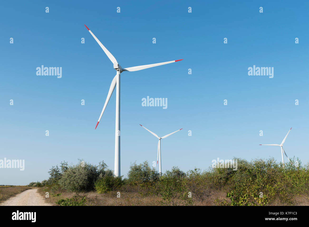 Tree Wind Turbine Energy Farm Stock Photo - Alamy