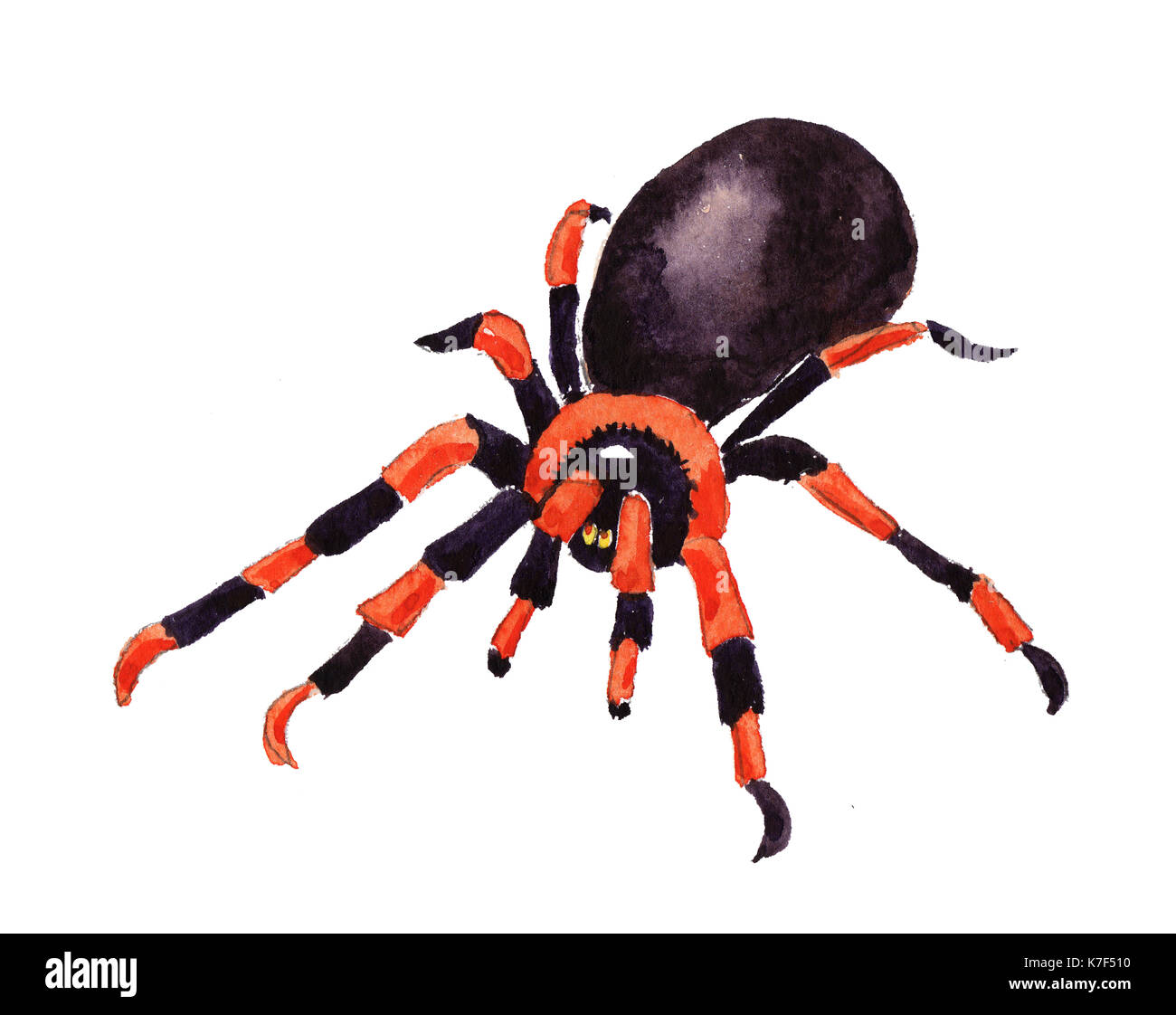 Monochrome cobweb spider web Cut Out Stock Images & Pictures - Alamy