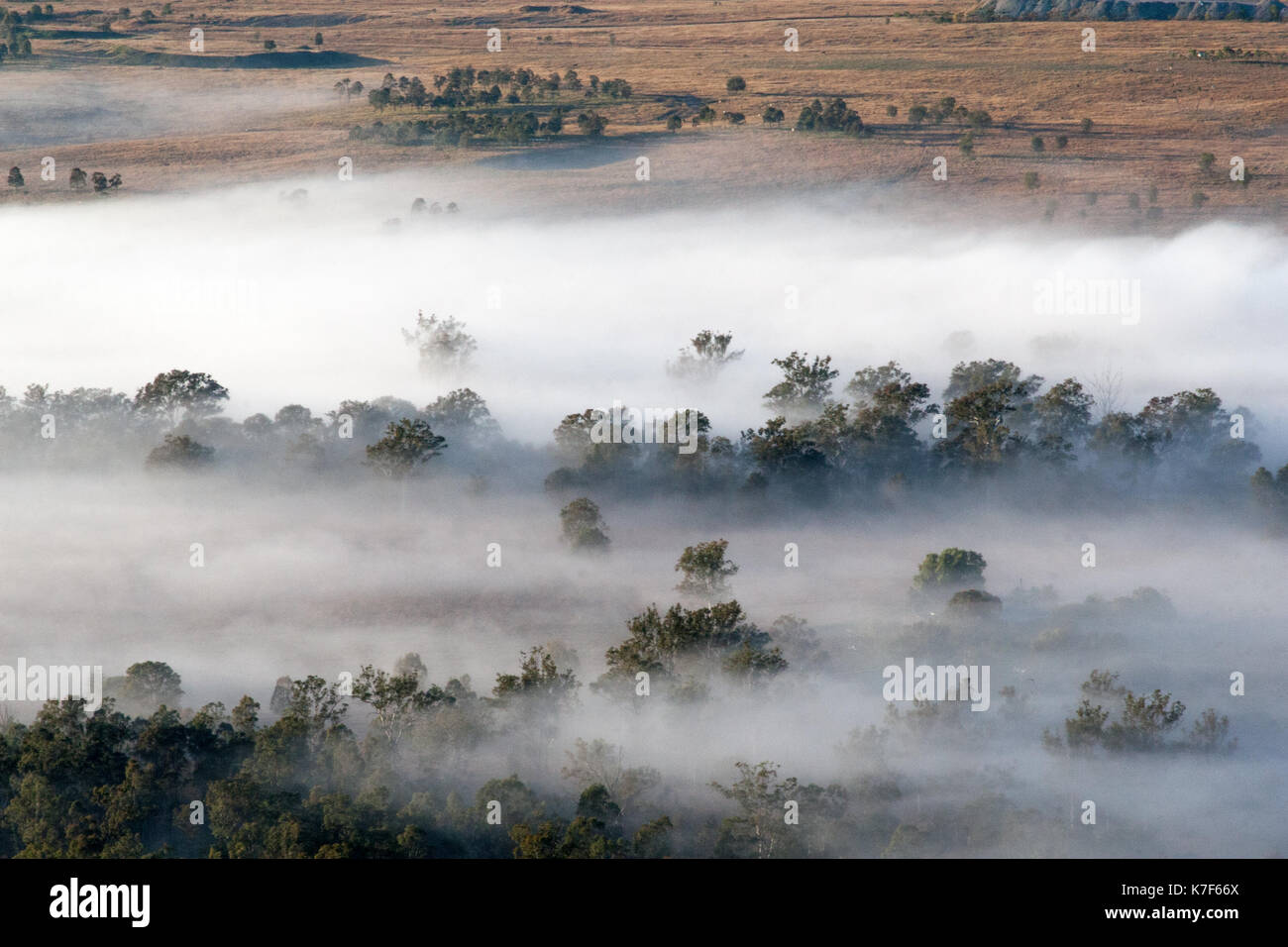Low early morning cloud covers the ground in outback Australia and ...