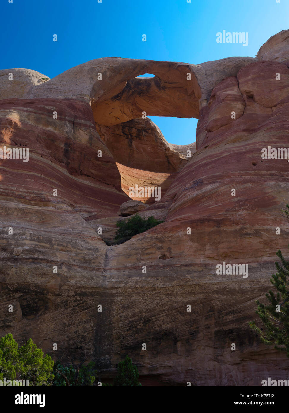 Hole in the Bridge Arch, Rattlesnake Canyon, Black Ridge Wilderness ...