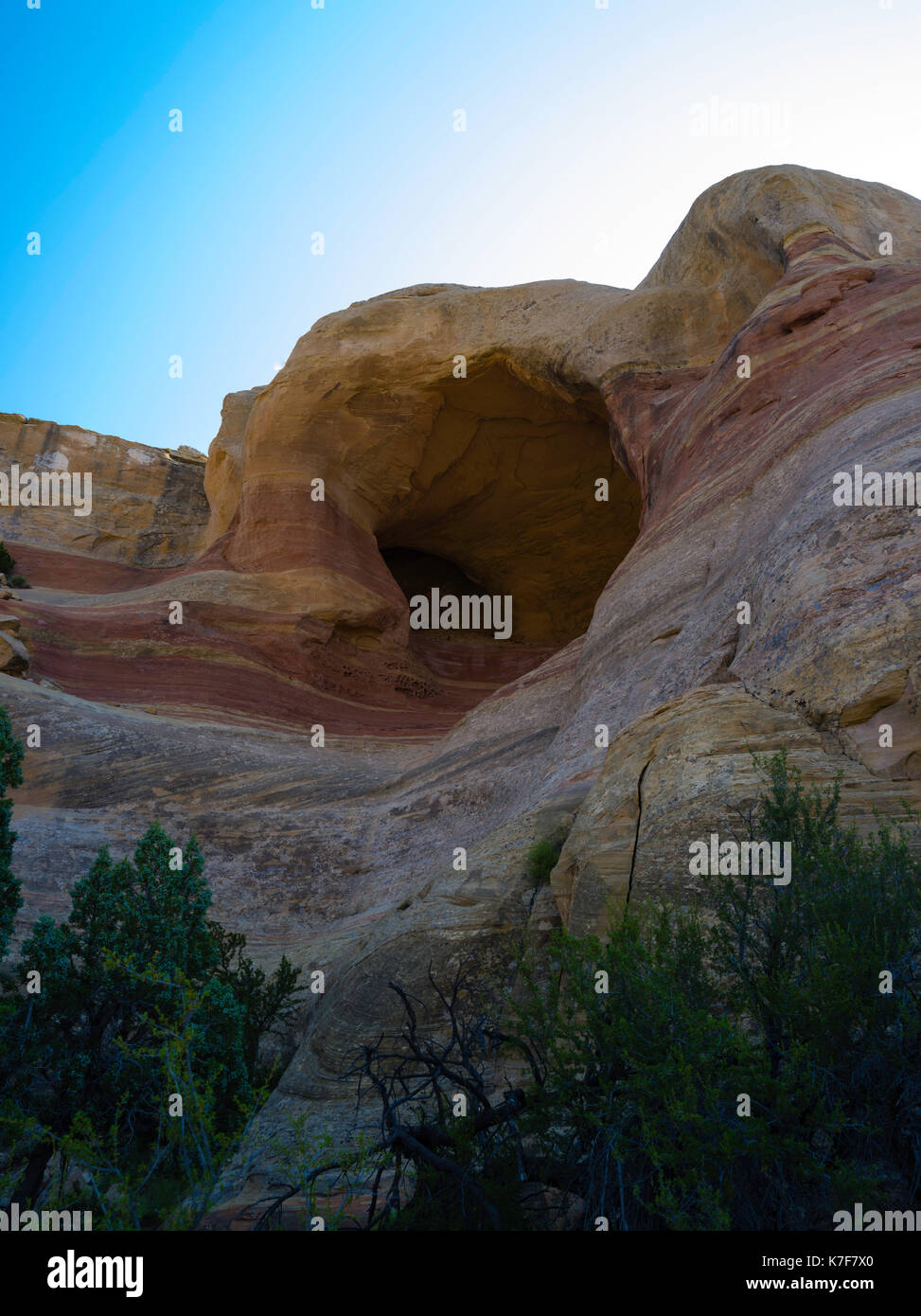 A natural arch, Rattlesnake Canyon, Black Ridge Wilderness, Colorado ...