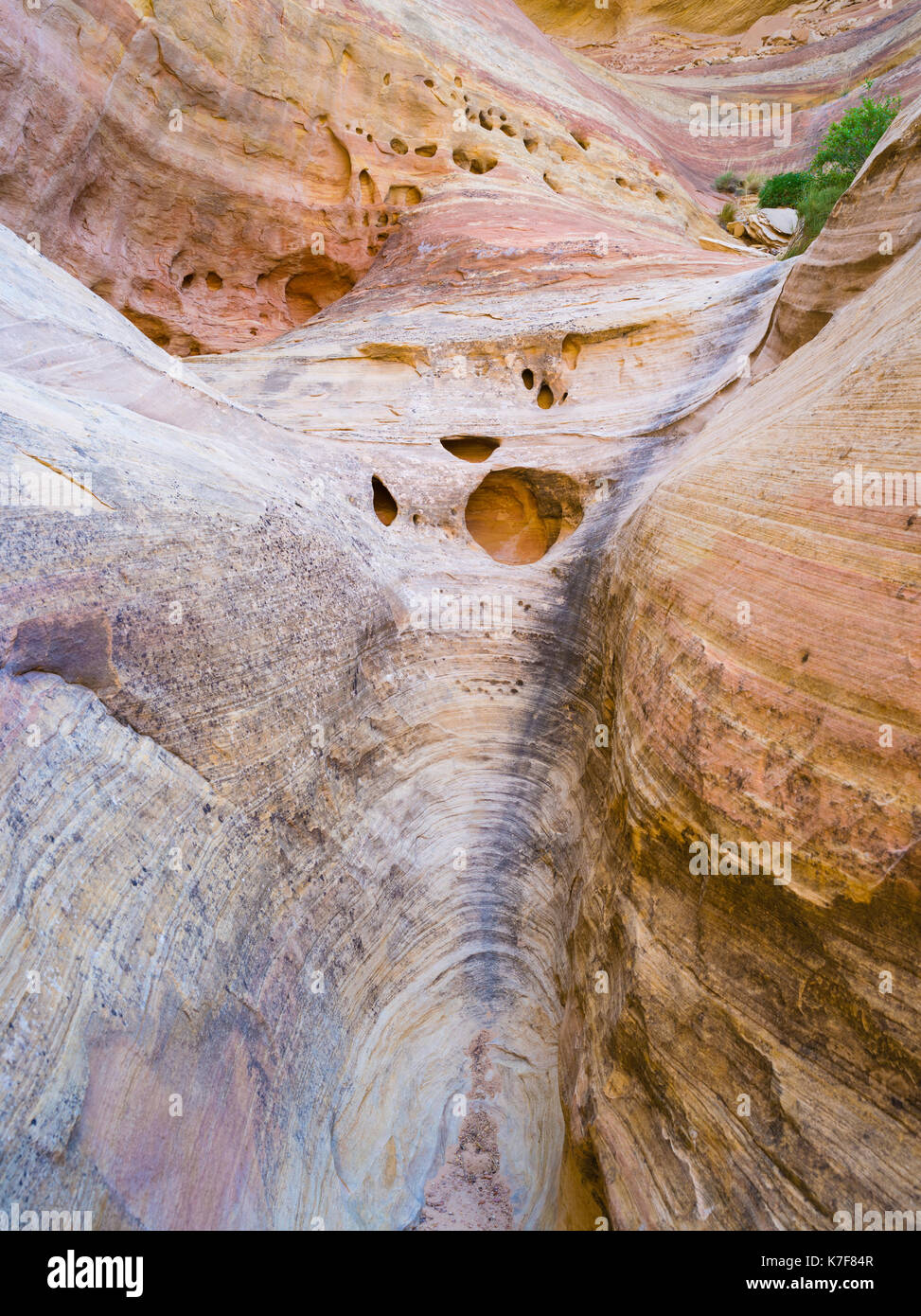 Sandstone erosion detail at Rattlesnake Canyon, Black Ridge Wilderness ...