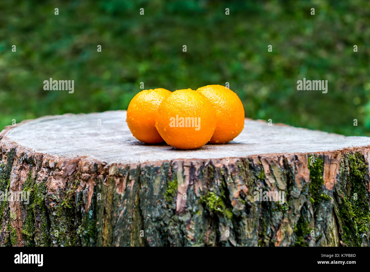 Fresh ripe oranges on a stump Stock Photo - Alamy