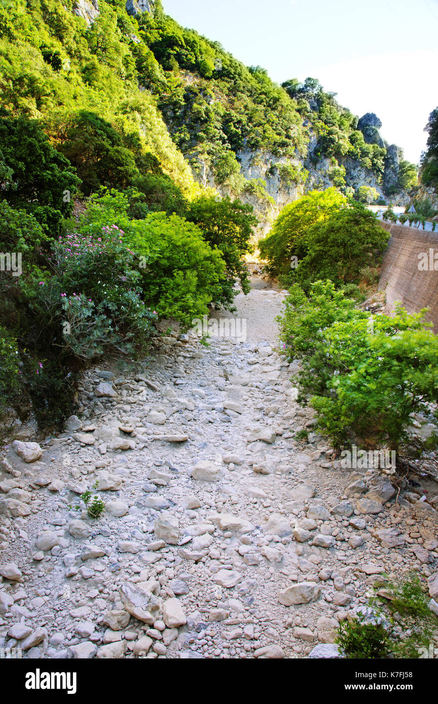 Dried up river bed drought hi-res stock photography and images - Alamy