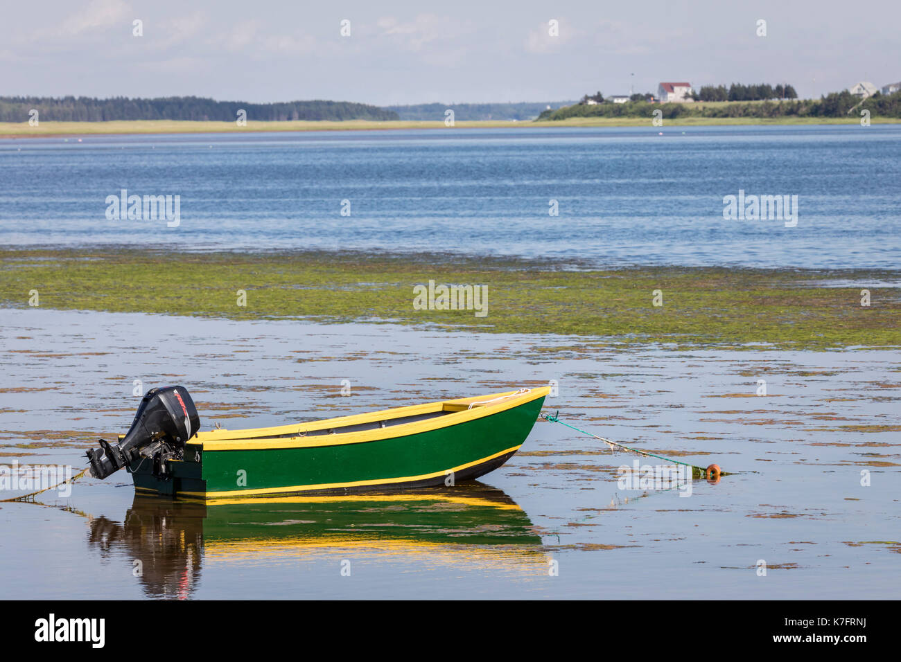 Green and yellow rowboat with outboard motor moored in shallow water ...