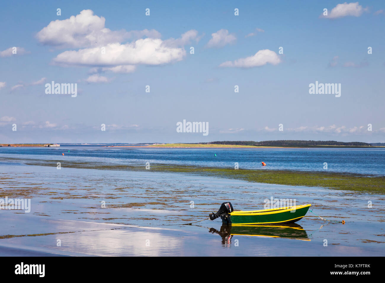 Green and yellow rowboat with outboard motor moored in shallow water ...