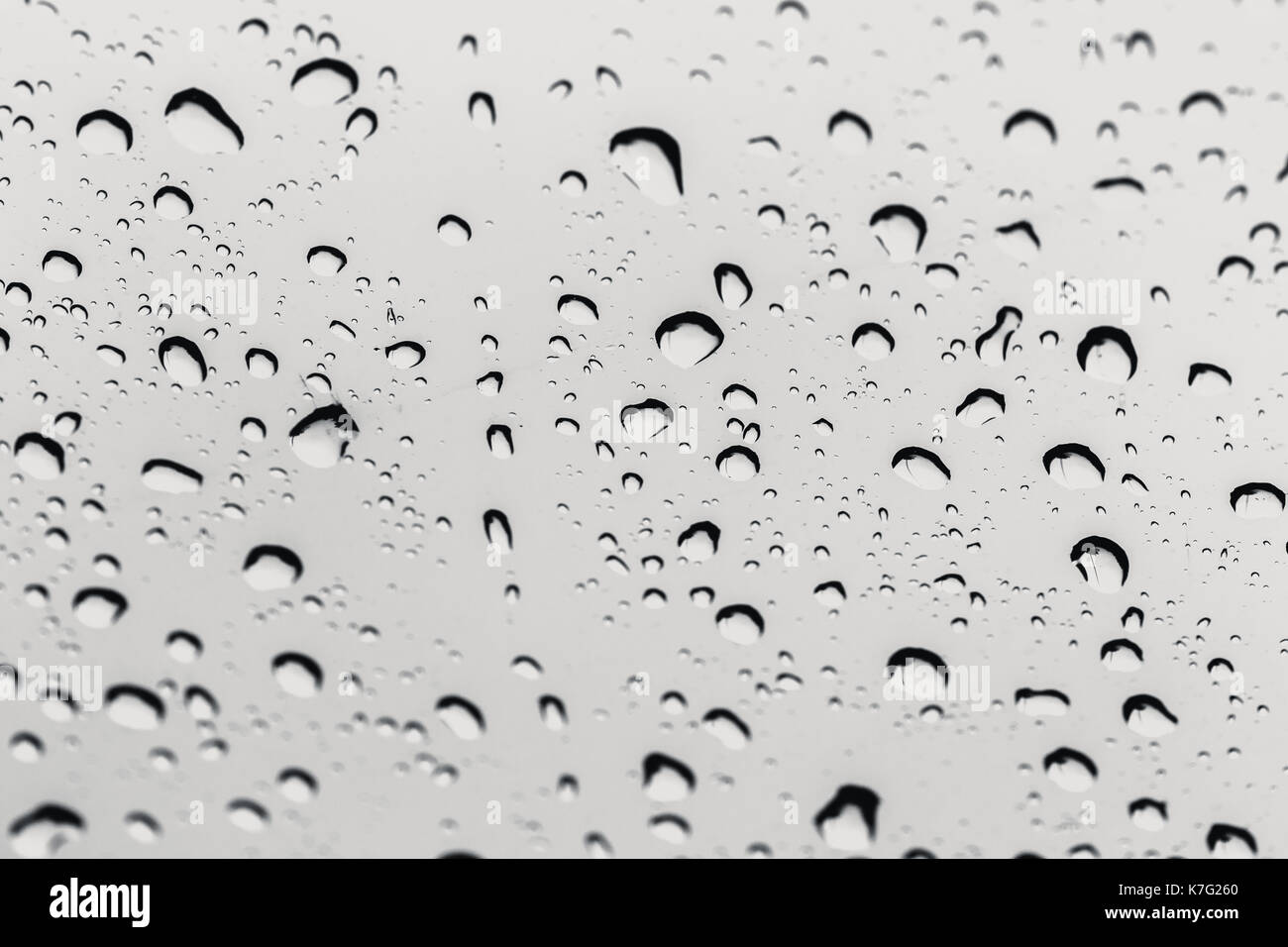 rain water drops on a white background Stock Photo - Alamy