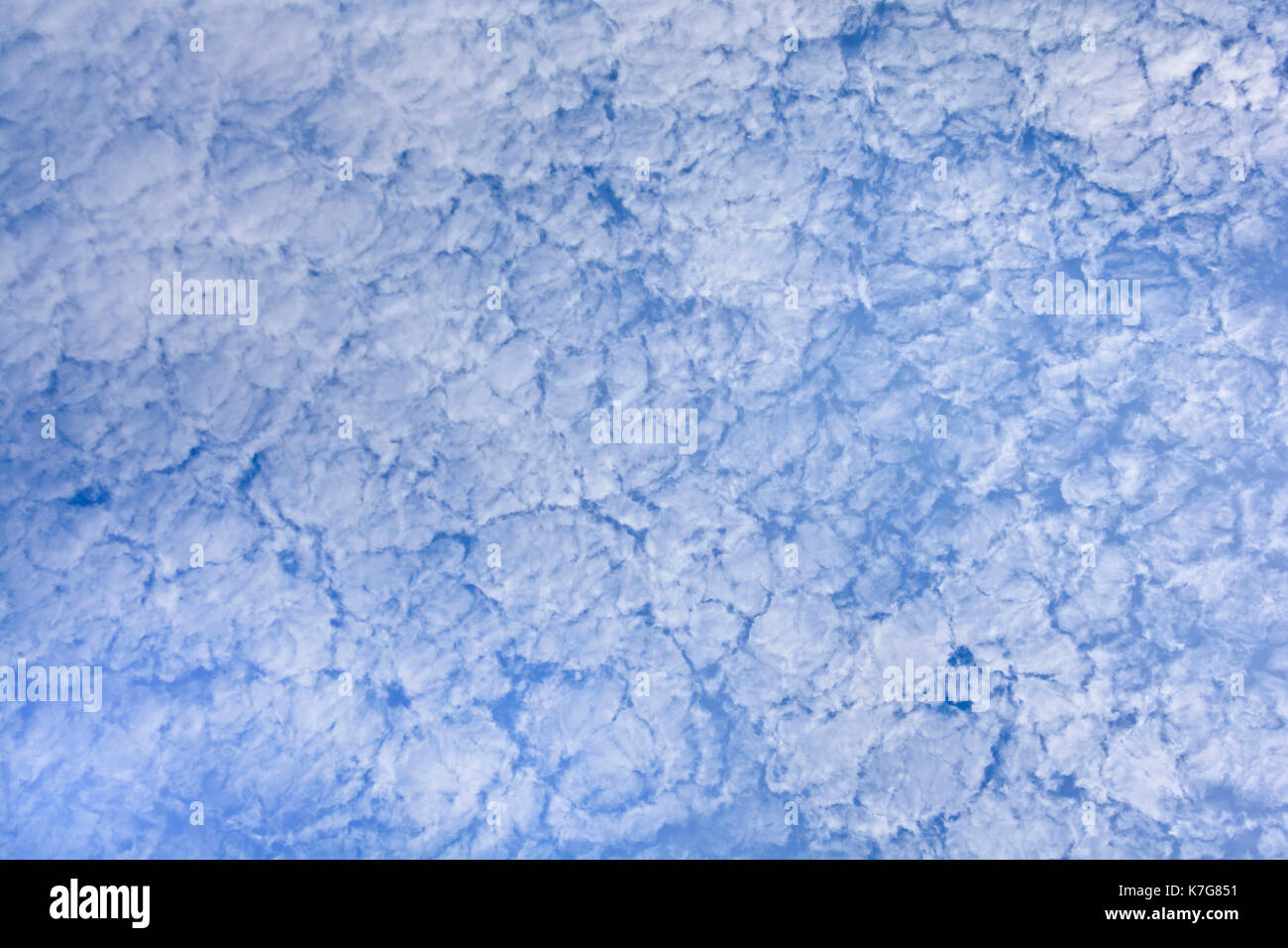 Light blue icy background hi-res stock photography and images - Alamy
