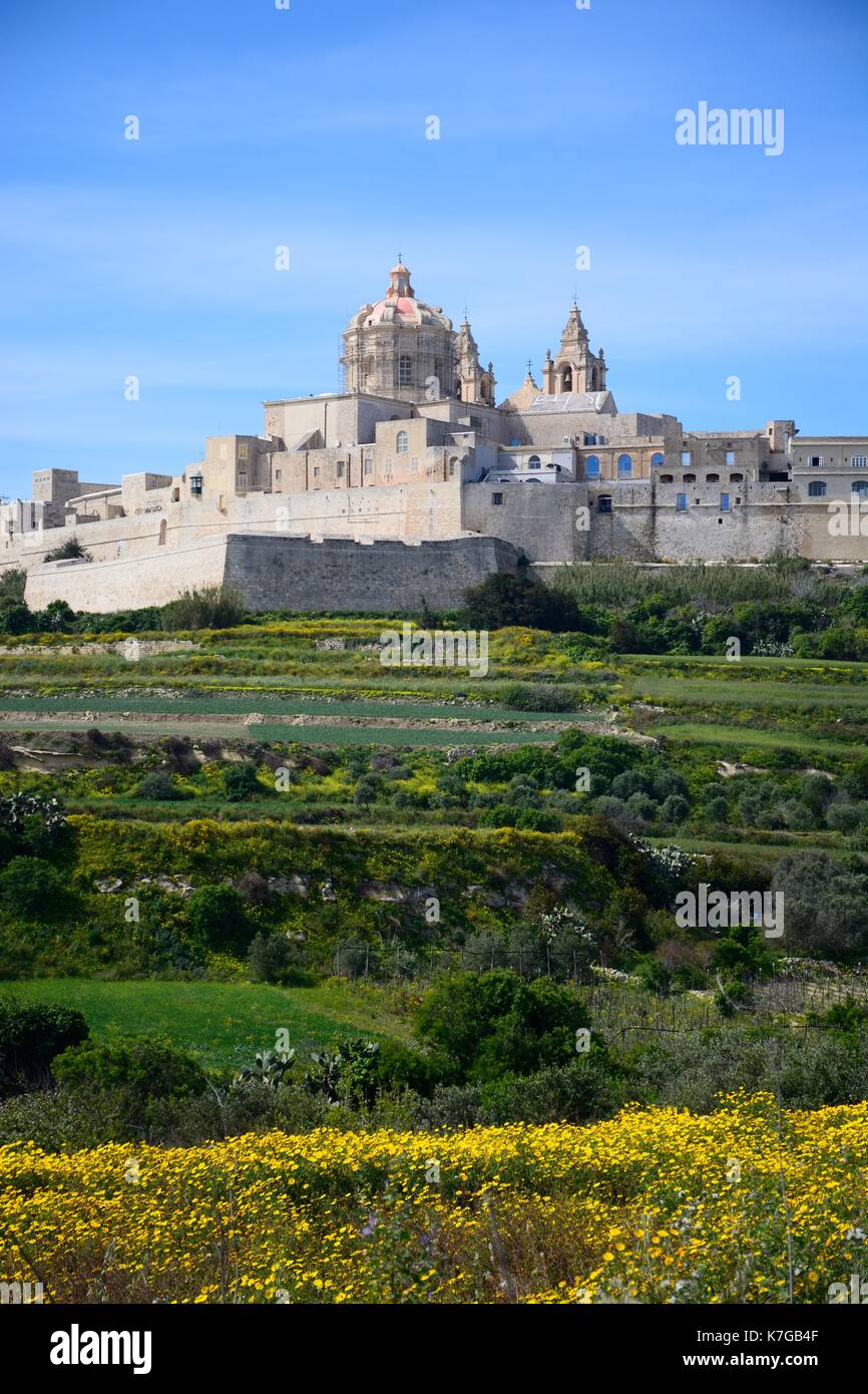 Spring flowers in malta hi-res stock photography and images - Alamy
