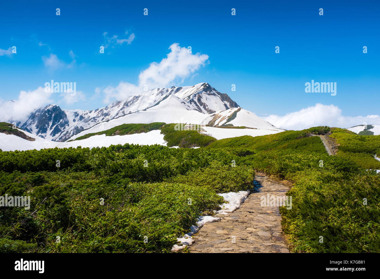 pavement with green field and snow mountain with blue sky Stock Photo ...