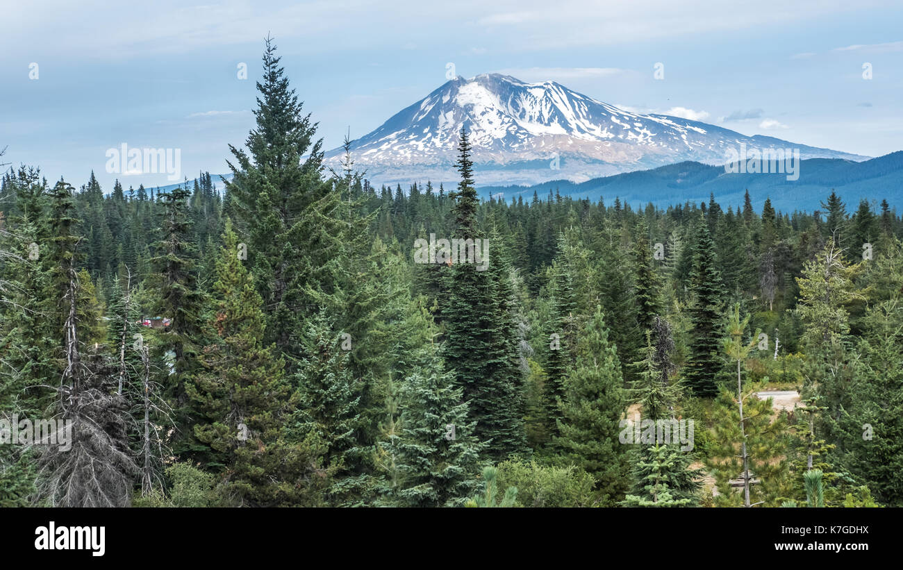Northwest Waterfall Oneonta Falls Green Trees PNW Rocks Nature Oregon ...