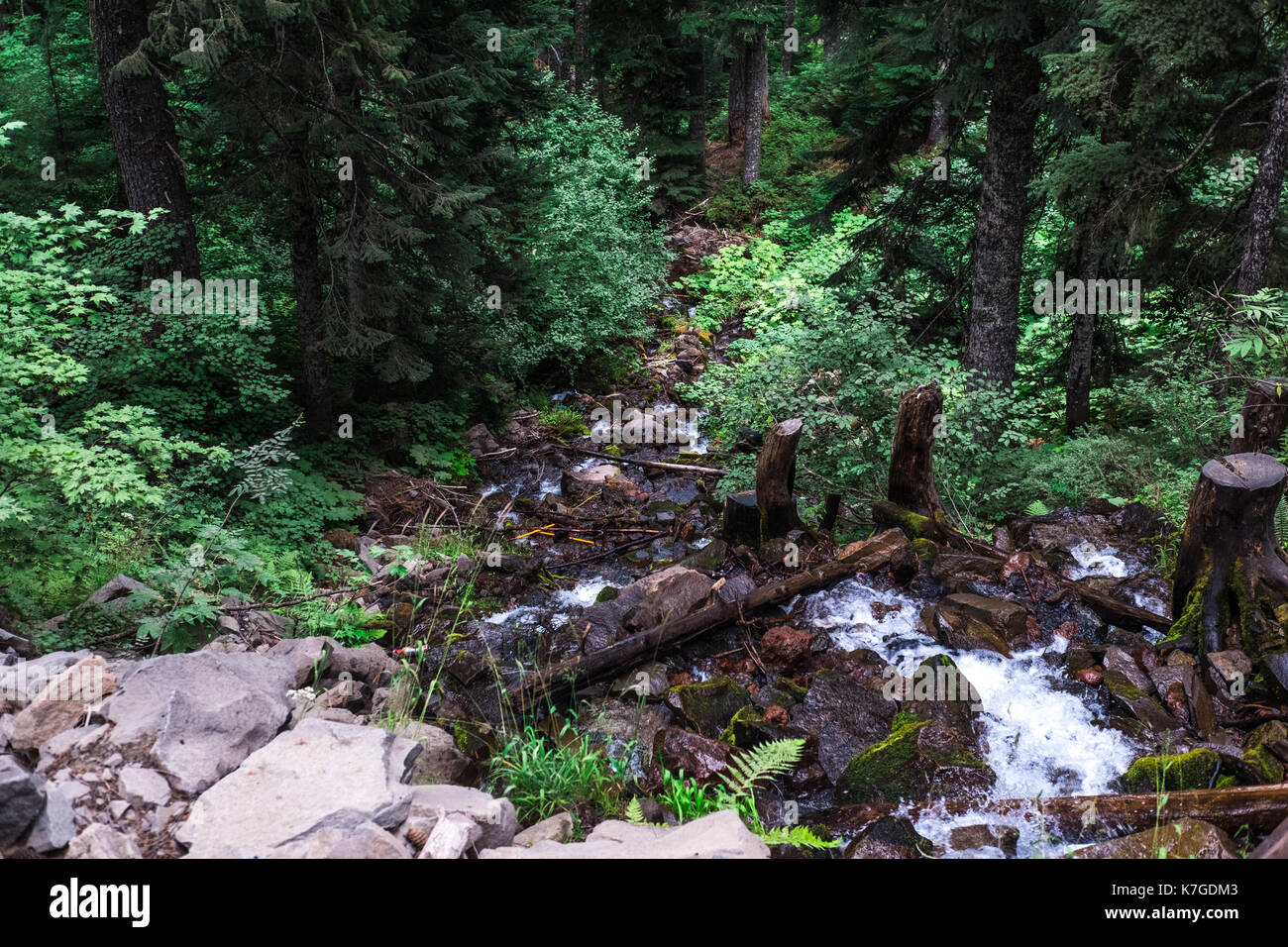 Northwest Waterfall Oneonta Falls Green Trees PNW Rocks Nature Oregon ...