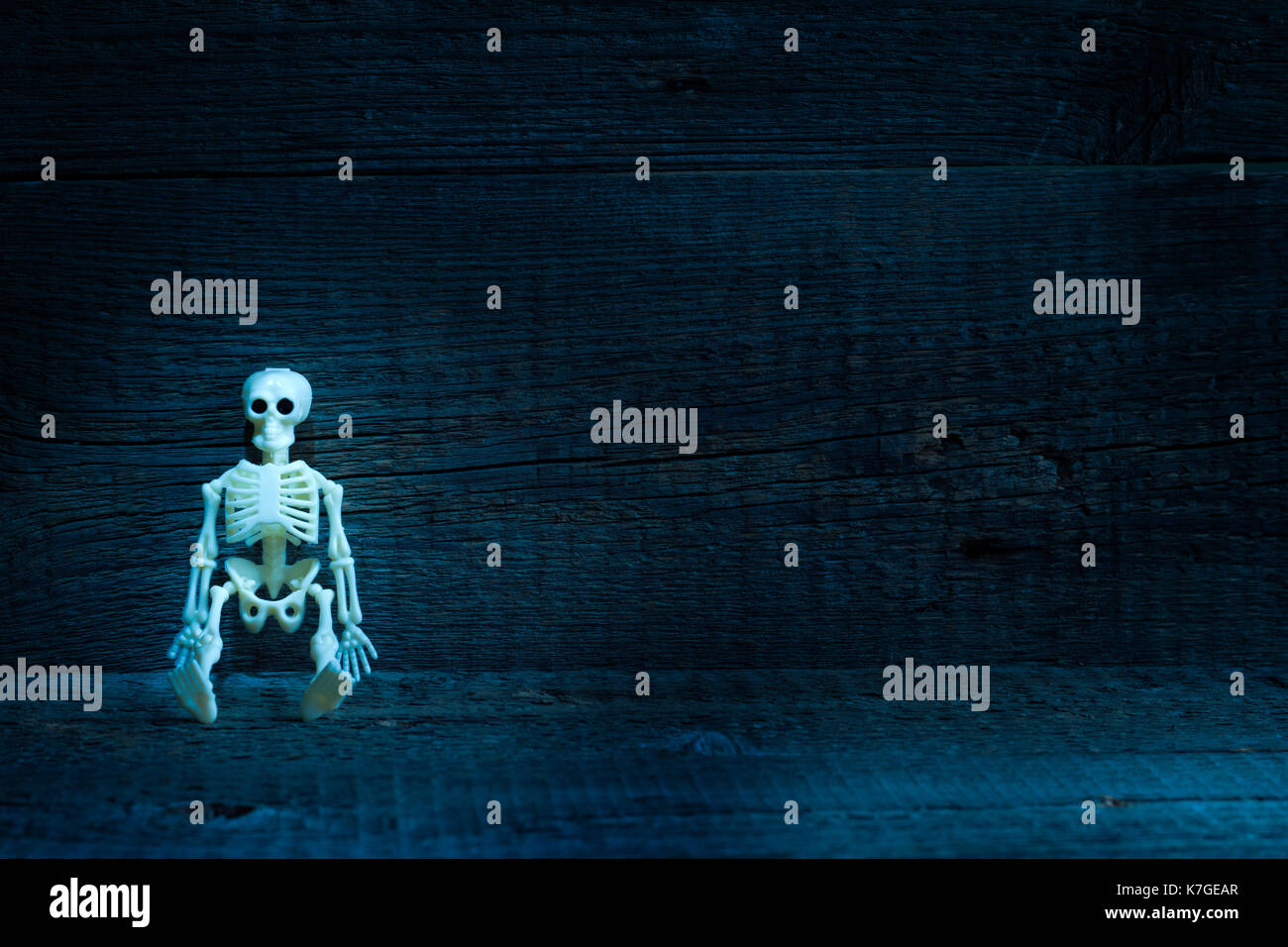 Skeleton in coffin hi-res stock photography and images - Alamy
