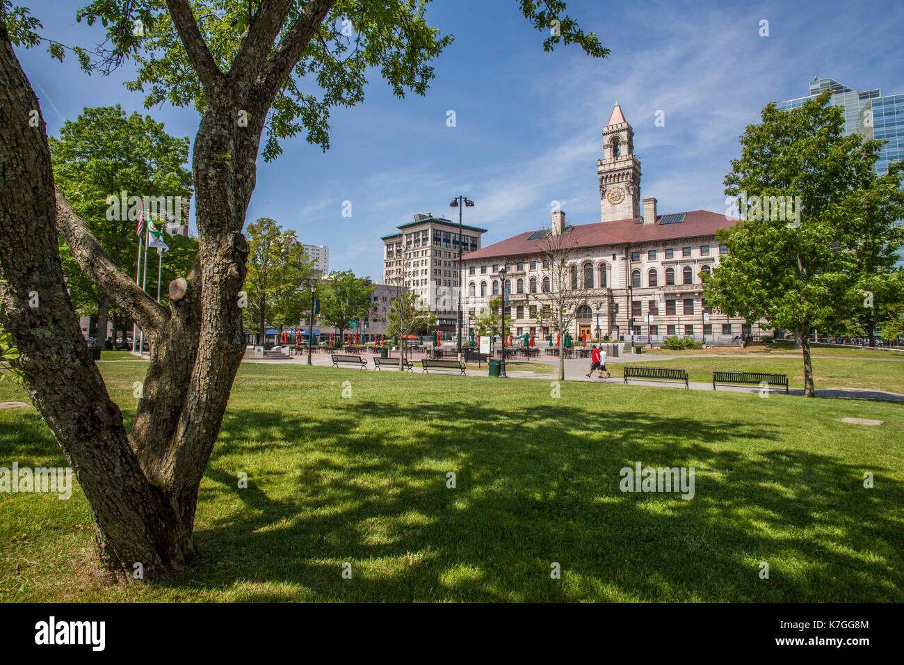 Worcester city trees hi-res stock photography and images - Alamy