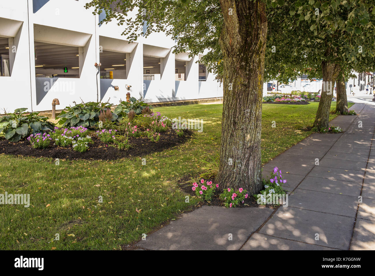 Nice landscaping around a garage in downtown Worcester, Massachusetts ...