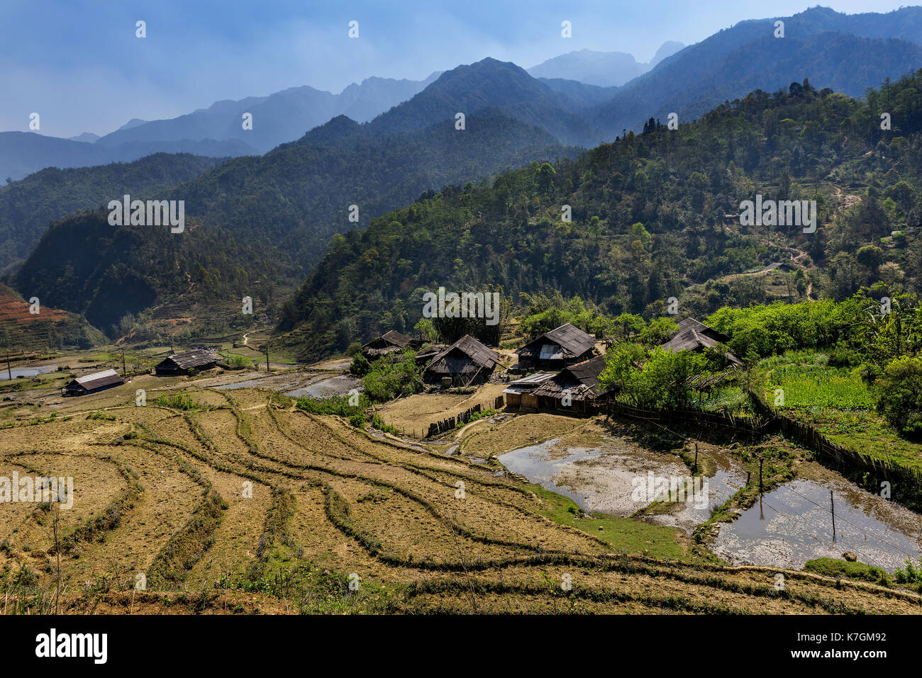 Sapa rice terrace, Vietnam Stock Photo - Alamy