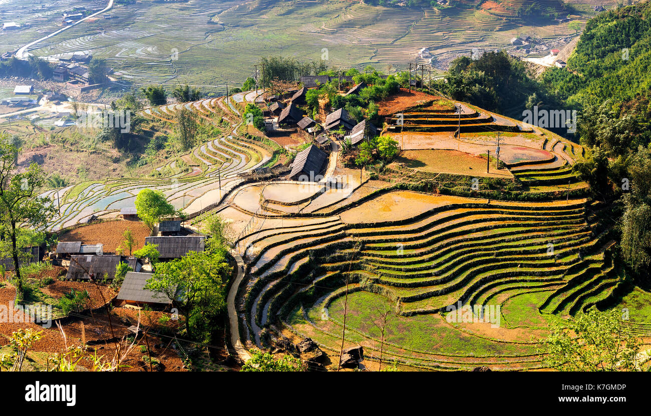 Sapa rice terrace, Vietnam Stock Photo - Alamy