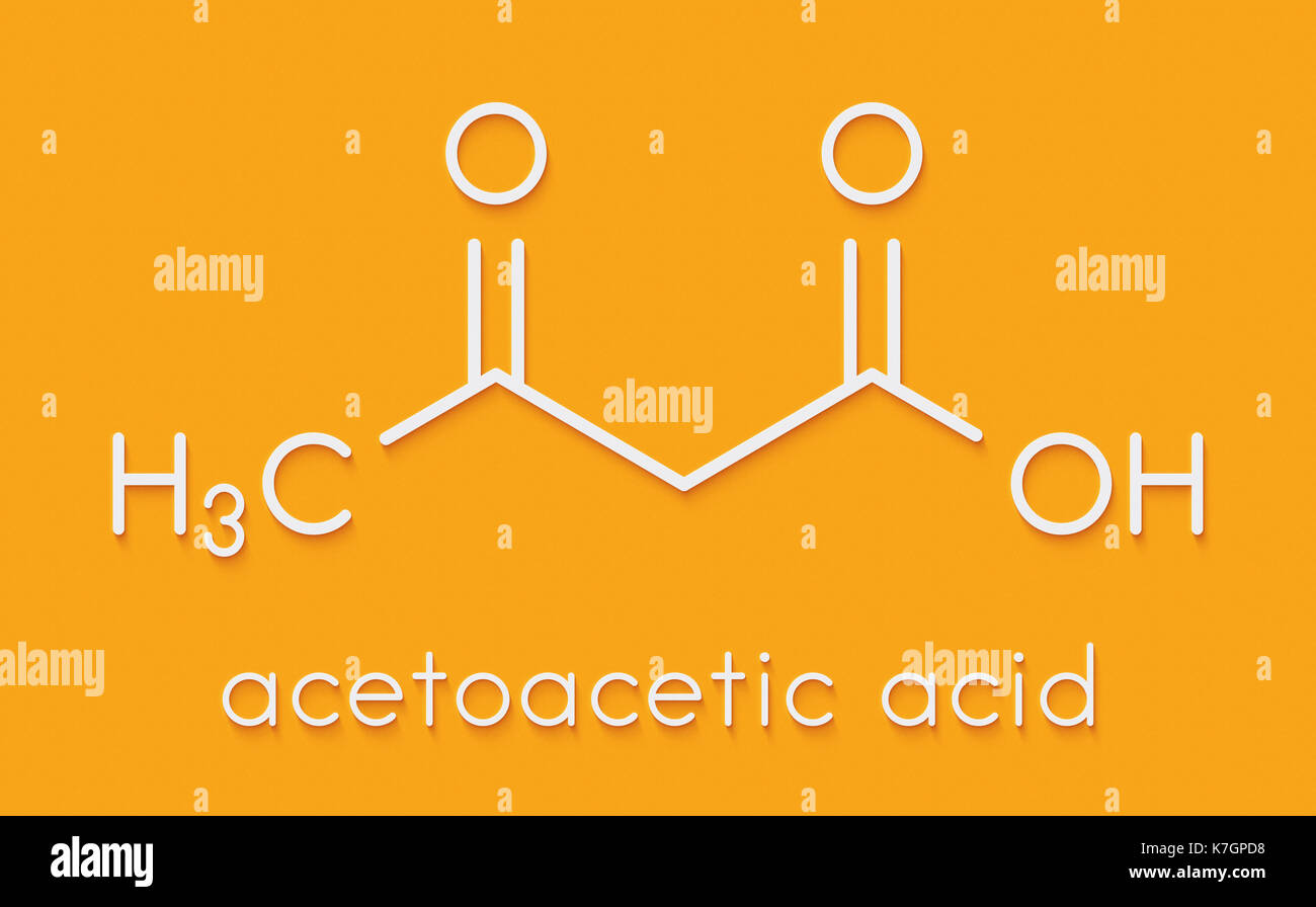 Ketone body (acetoacetic acid, diacetic acid) molecule. Skeletal ...