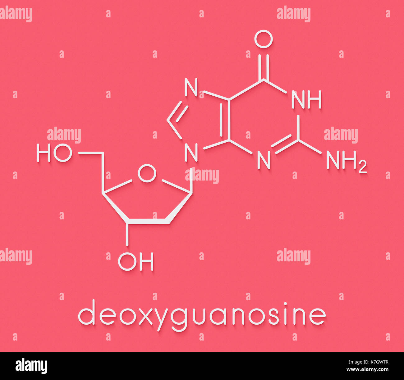 Deoxyguanosine (dG) nucleoside molecule. DNA building block. Skeletal ...