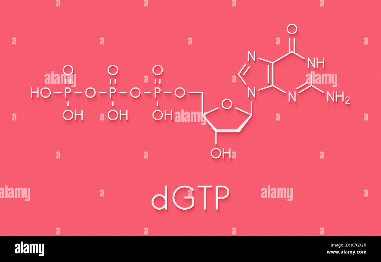 Deoxyguanosine triphosphate (dGTP) nucleotide molecule. DNA building ...
