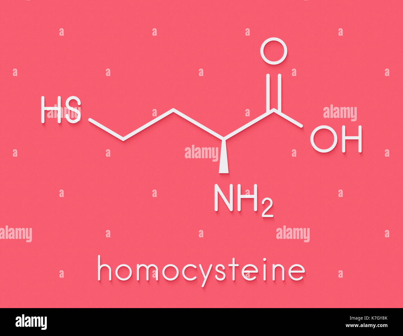 Homocysteine (Hcy) biomarker molecule. Increased levels indicate ...