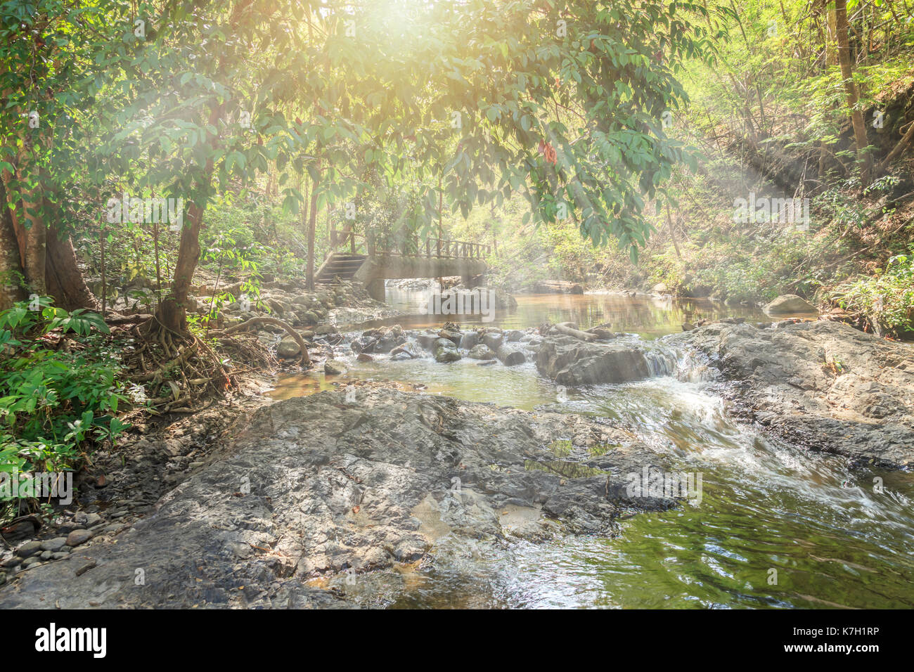 Chae Stock Photos & Chae Stock Images - Alamy