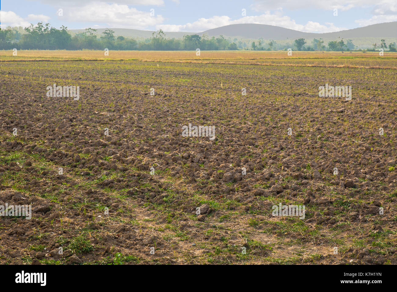 Prepare the land hi-res stock photography and images - Alamy