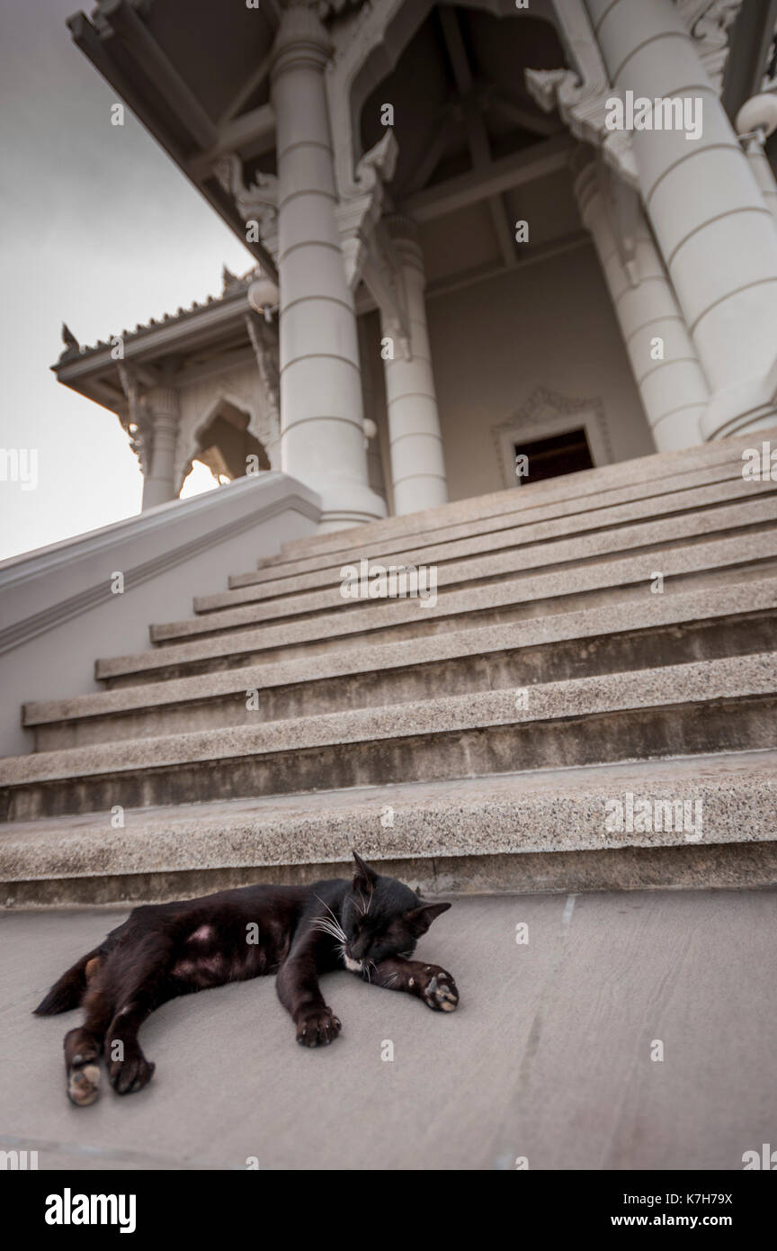 Wat kaew temple in krabi hi-res stock photography and images - Alamy