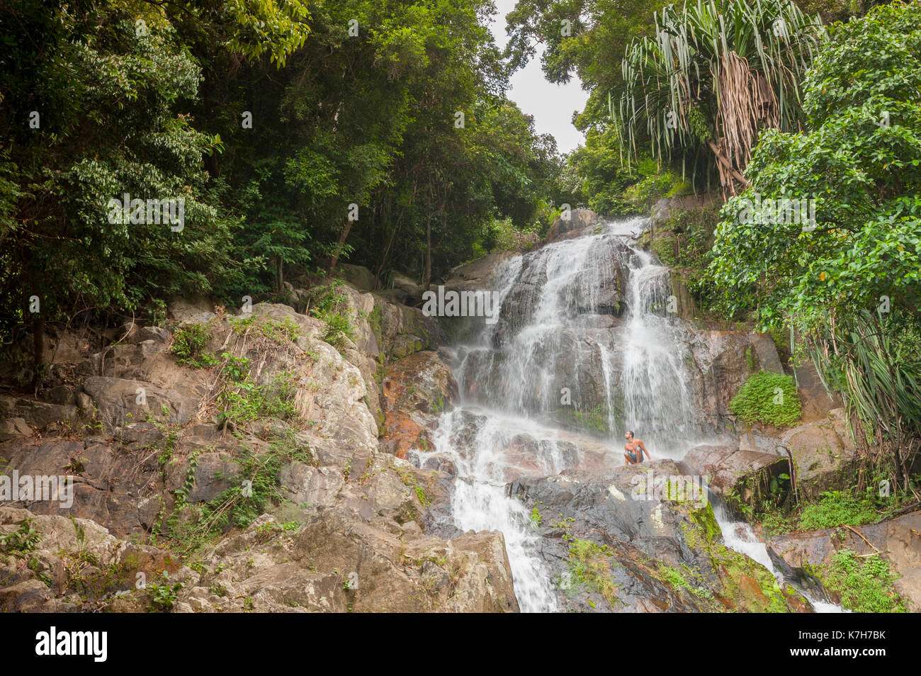 Jungles of thailand hi-res stock photography and images - Alamy
