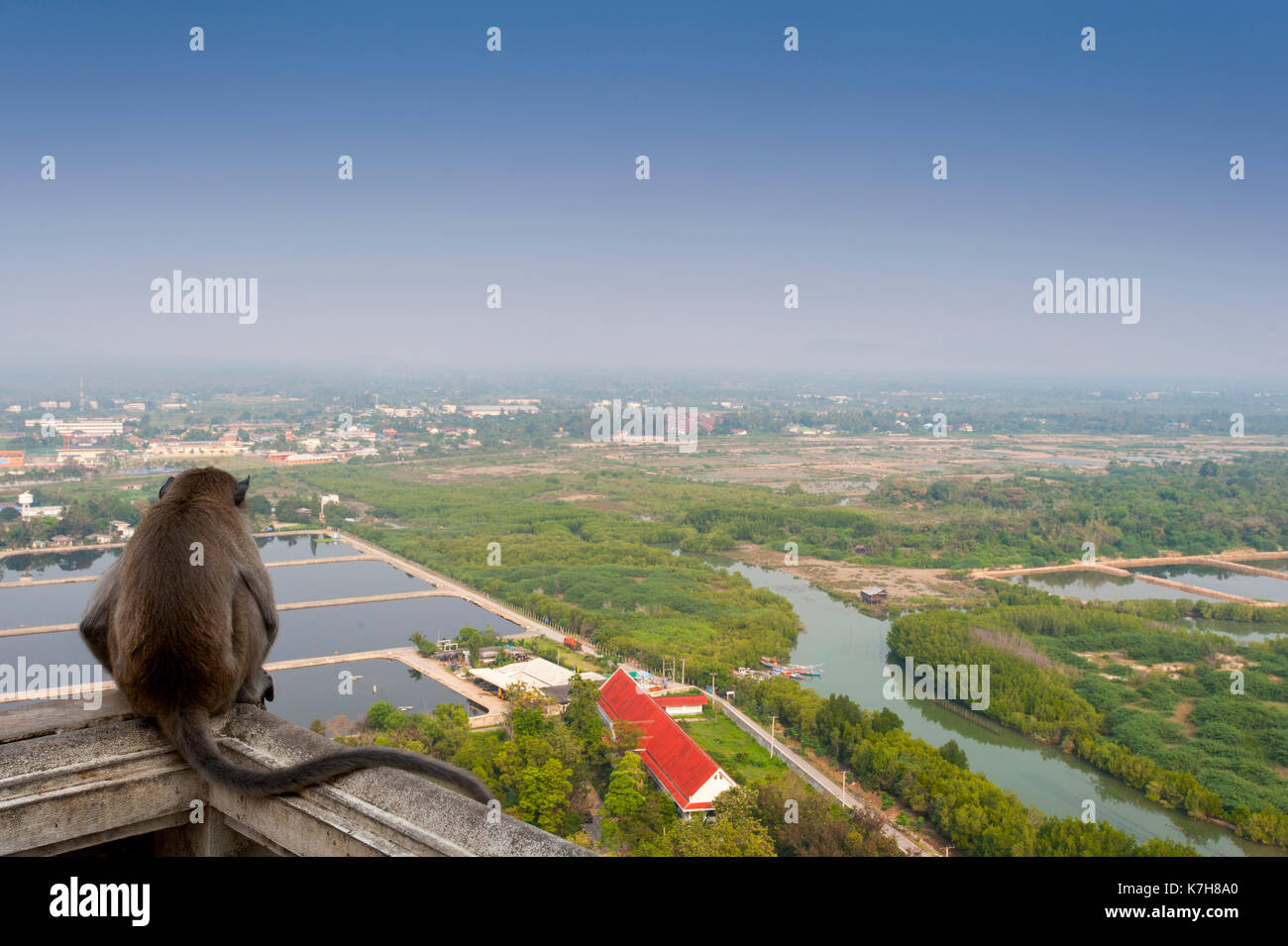 Monkey sits on balcony looking North-West over the Thai landscape and ...