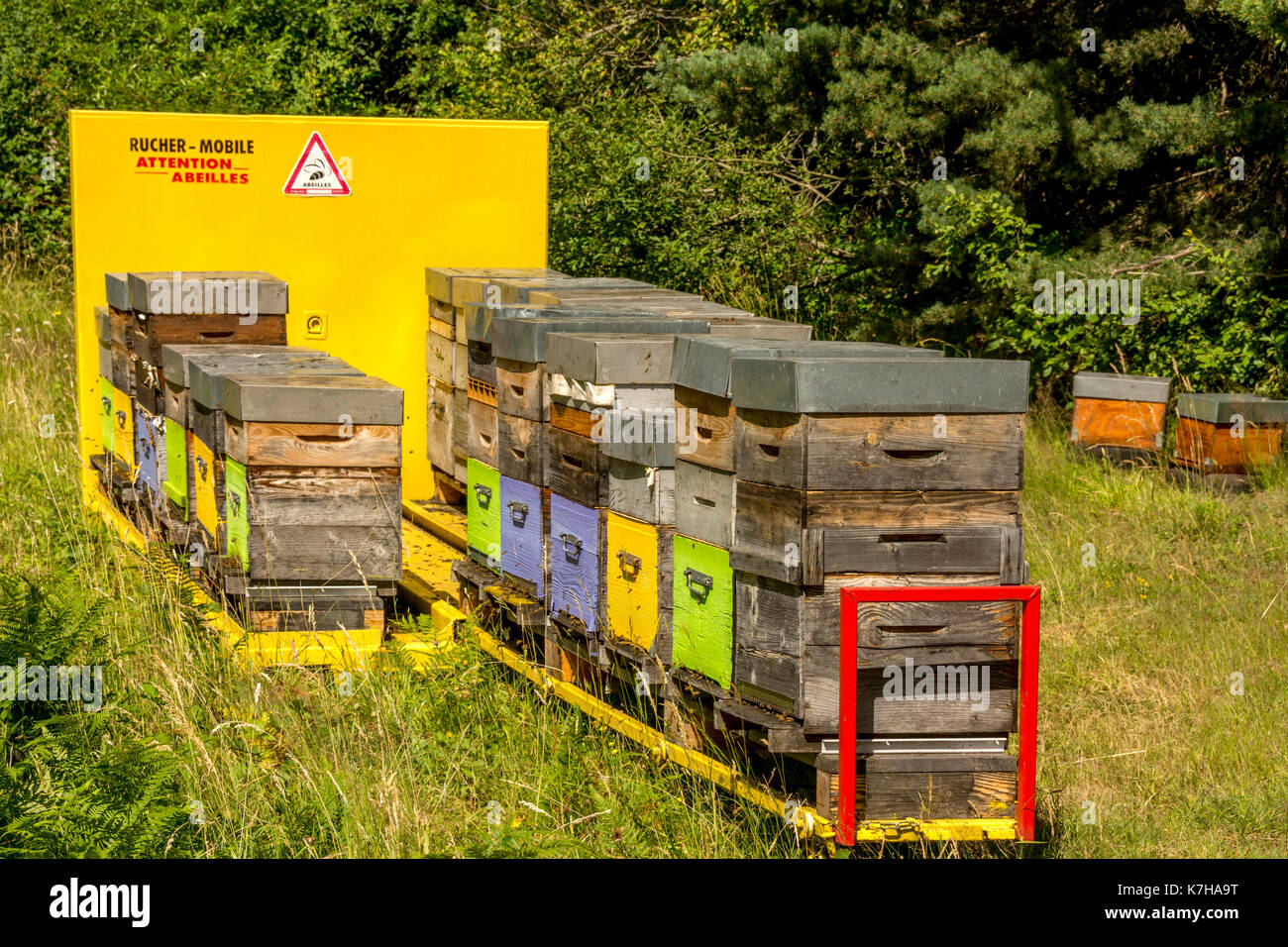 Bee hives traditional hi-res stock photography and images - Alamy