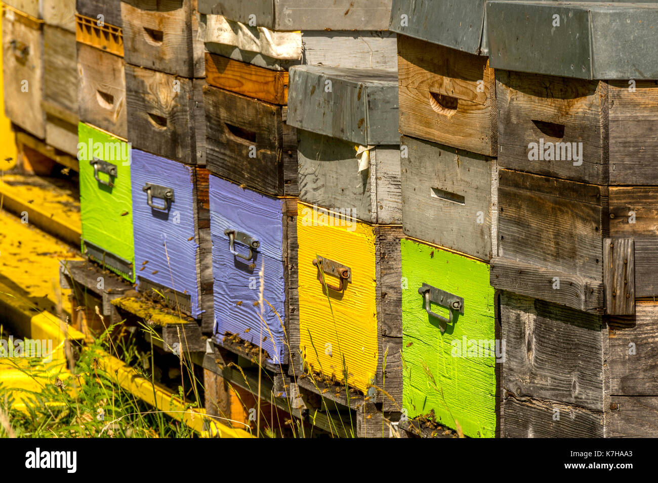 Bee hives traditional hi-res stock photography and images - Alamy