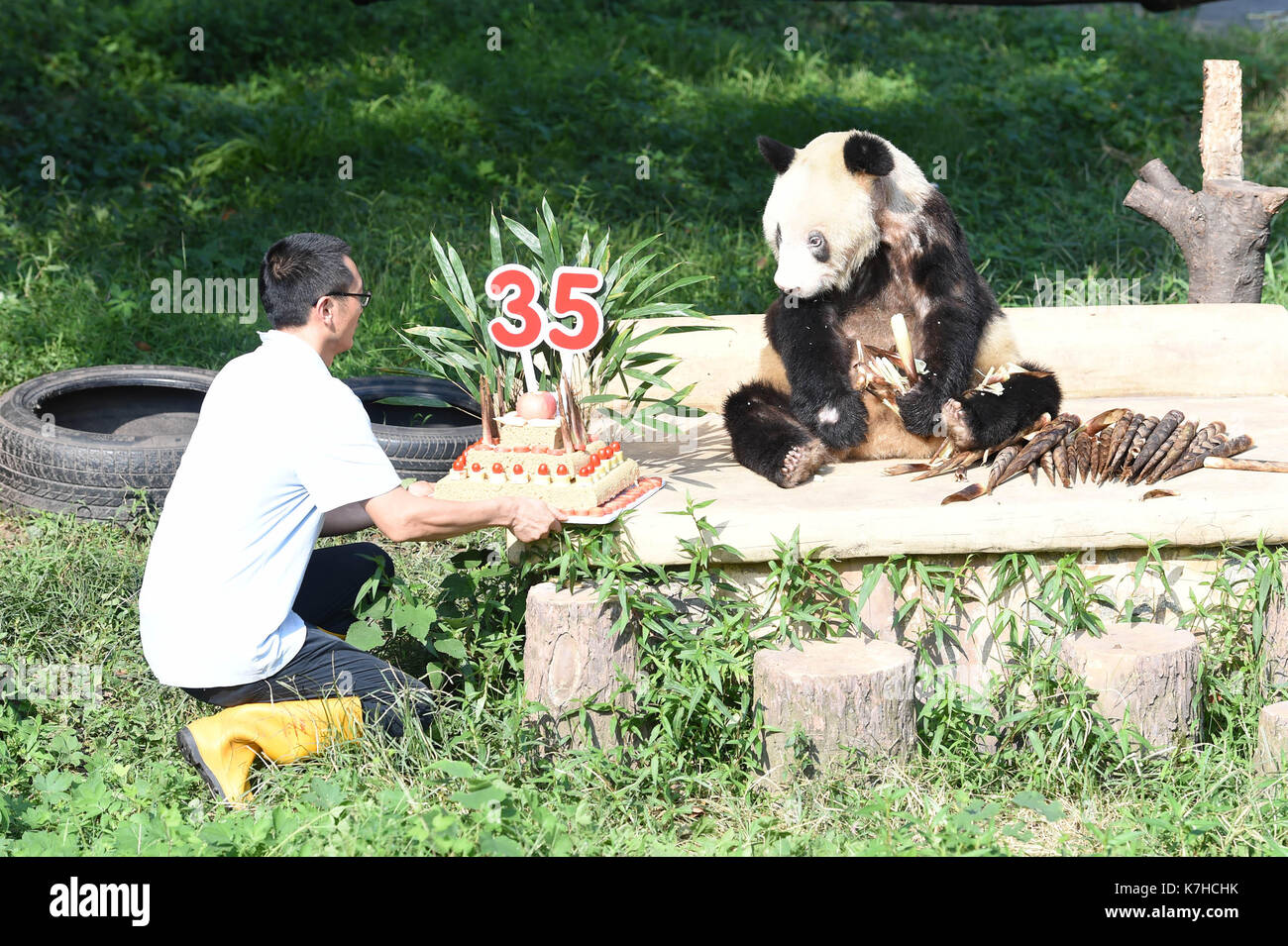 Chongqing, China. 16th Sep, 2017. A feeder gives a birthday cake to ...
