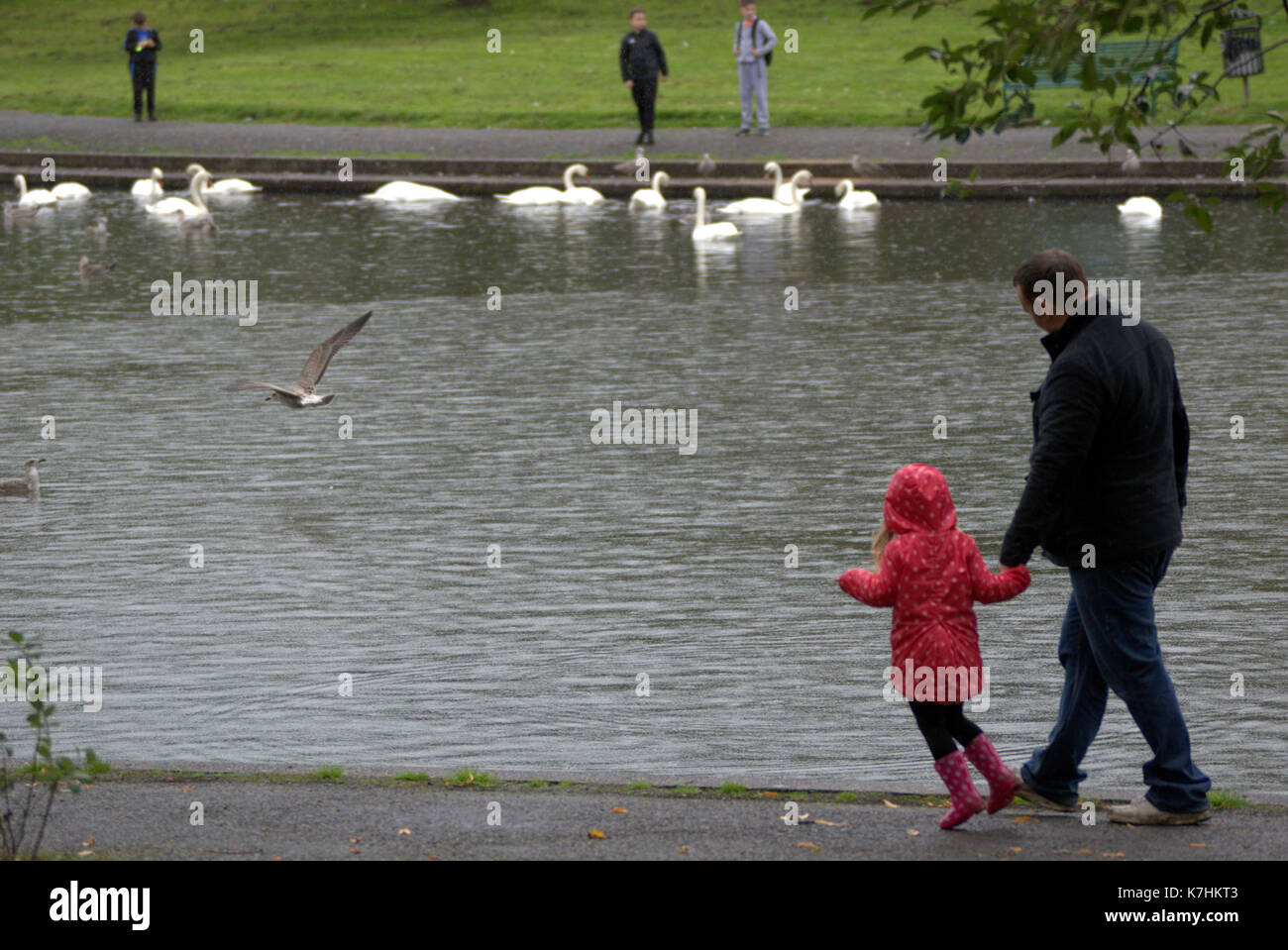 Knightswood park pond hi-res stock photography and images - Alamy