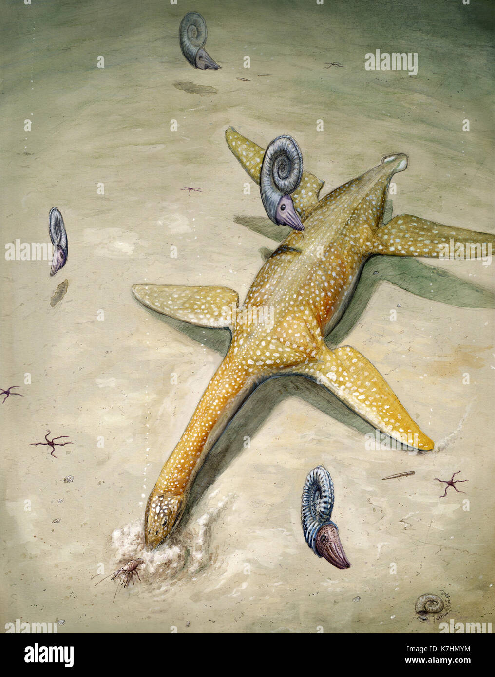 Extinct aquatic hi-res stock photography and images - Alamy
