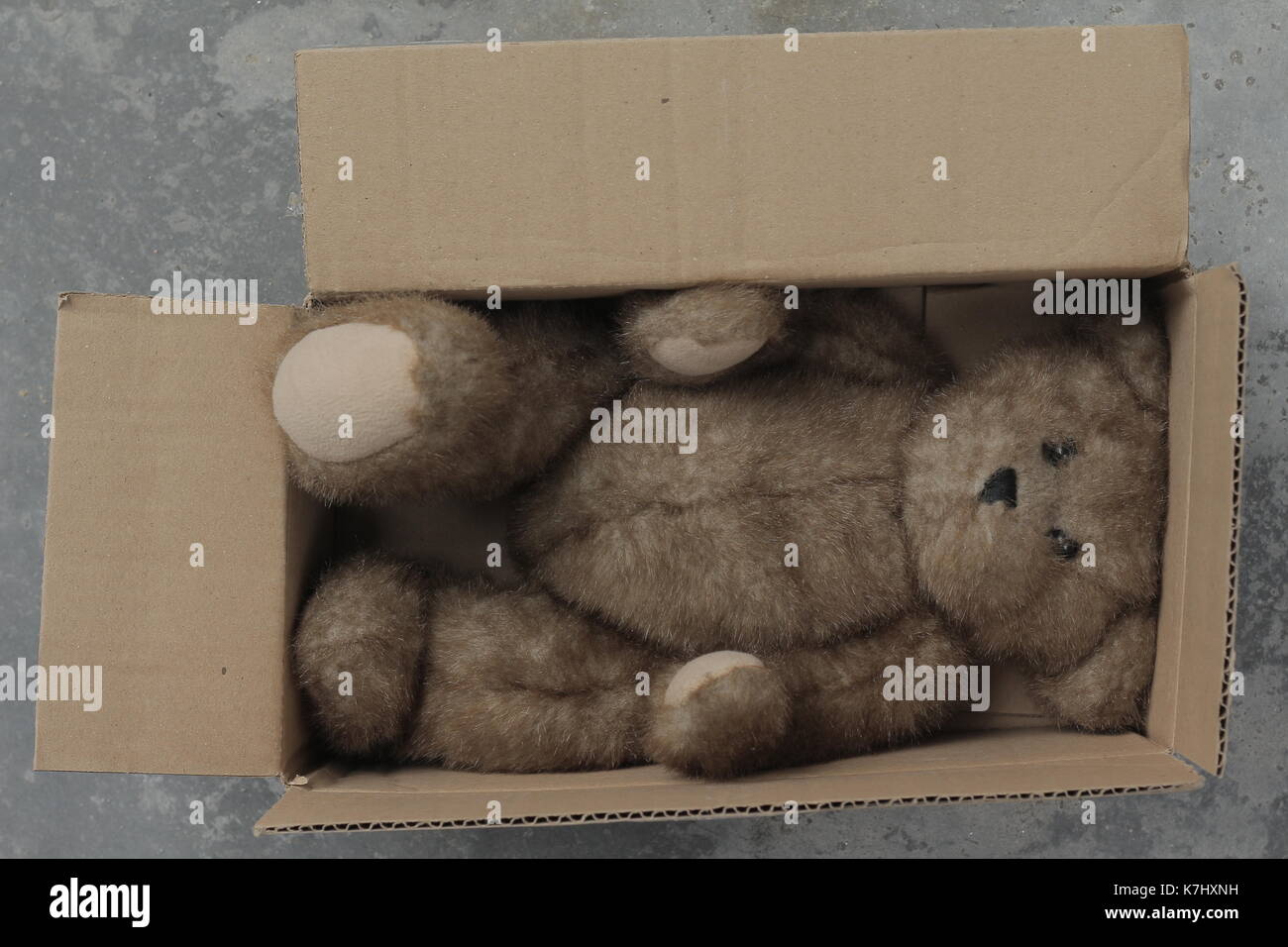 teddy bear in box in front of the wood door Stock Photo - Alamy