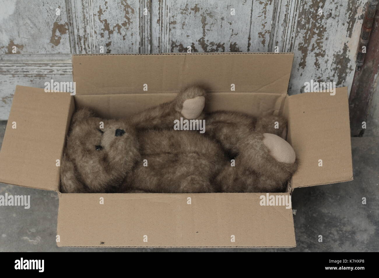teddy bear in box in front of the wood door Stock Photo - Alamy