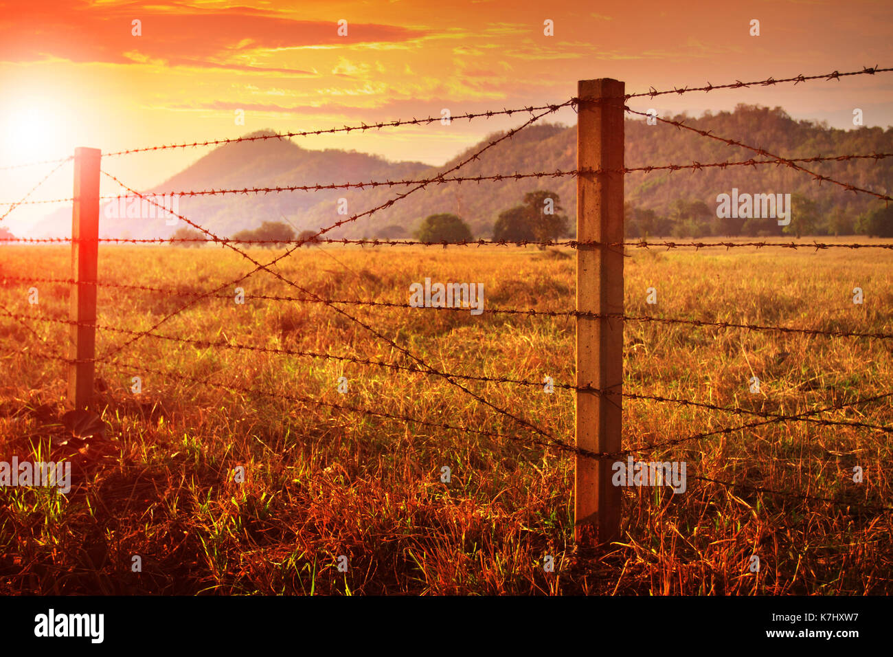 Barbed wire fence and and sunset sky over farm field Stock Photo - Alamy