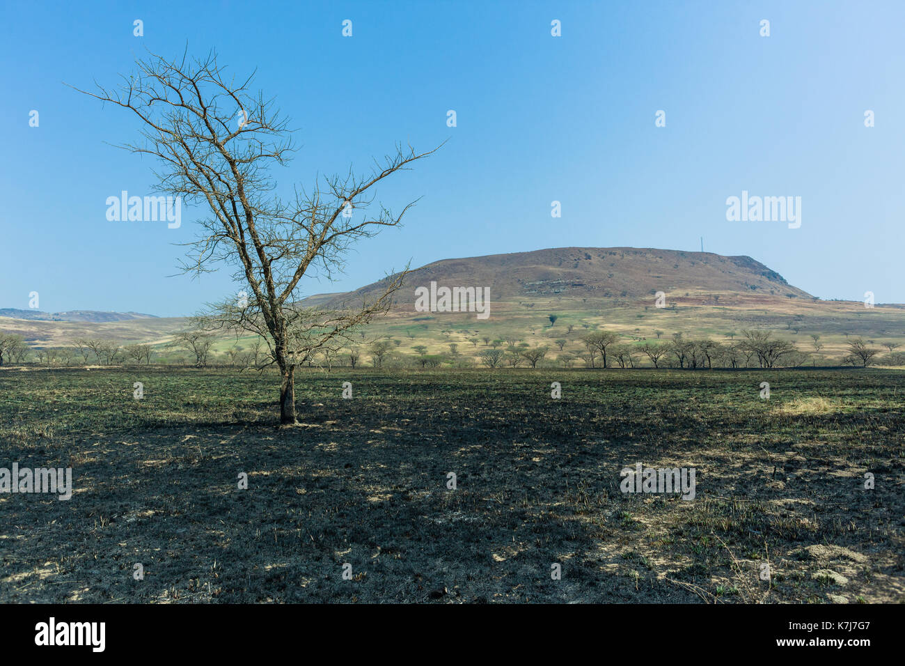 Rural grass fire hi-res stock photography and images - Alamy